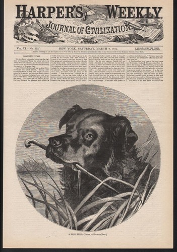 1867 ROTOGRAVURE HARRISON WEIR DOG DOMESTIC PET WATER SPORT HUNT COVER ...