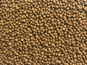 Totally Tanked Fish Food | eBay Stores