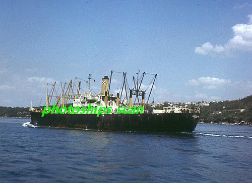 1 half frame slide of US C2-type Farrell Line AUSTRALIAN ISLE (ex ...