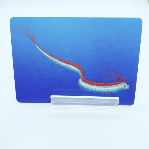 creature card Japanese giant oarfish DAISO sea animal | eBay