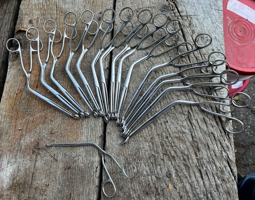 16 Pcs Magill Forceps Style Clamps 1-8" + 15-11" Anesthesia Surgical ...