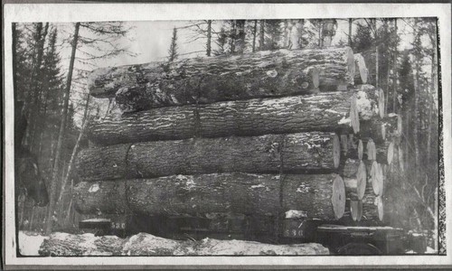 VINTAGE PHOTOGRAPH 1915-20 RAILROAD LOGGING CAMP FASHION LOGGERS ...
