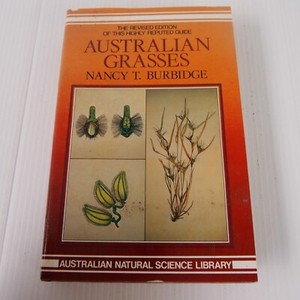 Nannoperca | eBay Stores