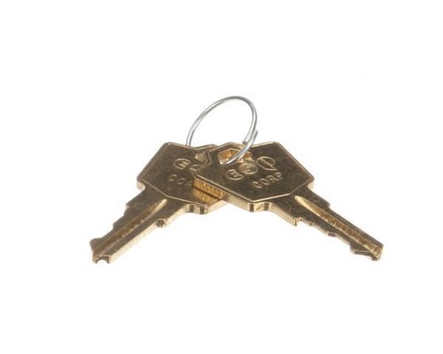 True Key, Hl302 (Set Of 2) Tdd-1 New 3/2/2000 872857 - Genuine OEM ...