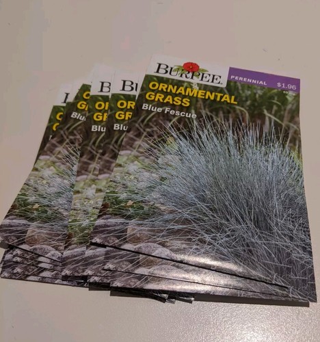 lot of 13 Burpees Ornamental Grass Blue Fescue seed packets plants ...