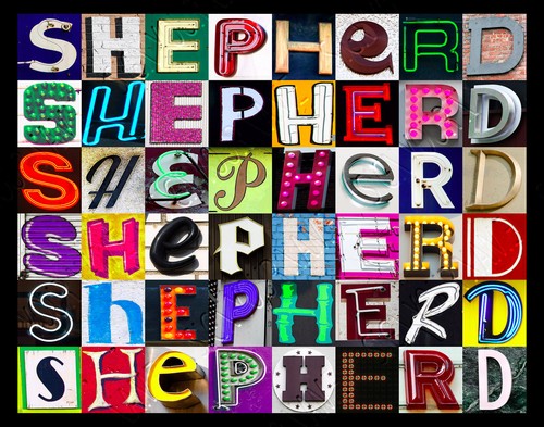 SHEPHERD Name Poster featuring photos of actual sign letters | eBay