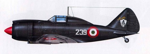 Re-2002 Ariete Reggiane Fighter Airplane Wood Model Replica Large Free ...