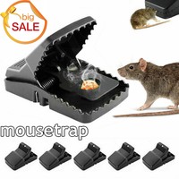 Multi catch Rat trap Large. Easiest solution to catch rats! | eBay