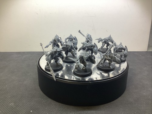 Warhammer Age of Sigmar AoS SERAPHON SAURUS WARRIORS (10 models ...