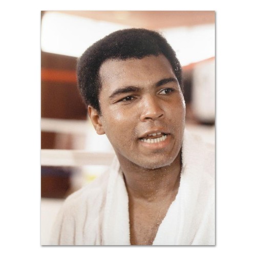 Muhammad Ali! Licensed Photograph of the Heavyweight Champ (40" x 30 ...