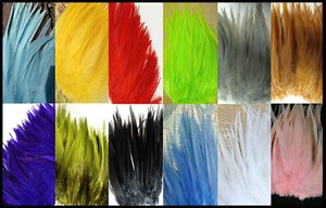 The Fabulous Feather Store | eBay Stores