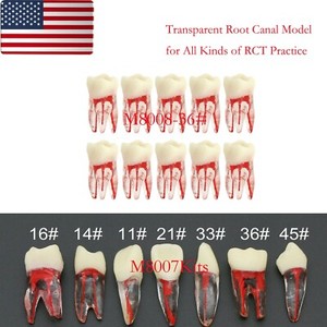 Dent-inus | eBay Stores