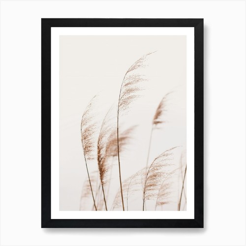 Beach Reeds Art Print Framed Wall Art Poster Canvas Print Picture | eBay