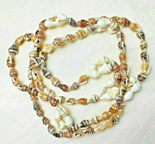 Natural Necklace Sea Snail Shell Honey & Brown Colors 17" Surfer Unisex ...