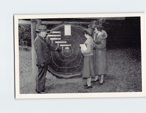 Postcard Rings of Tree Growth Muir Woods National Monument California ...