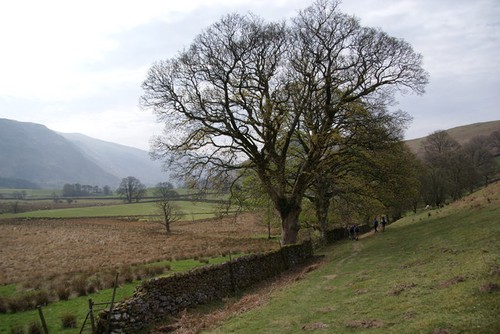 Photo A2 Path south of Shundraw Birkett Mire This runs towards Yew Tree ...