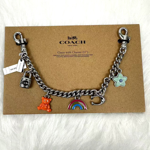 Coach Silver Swagger Chain With Charms Flower, Bear, C, Rainbow, Lock ...