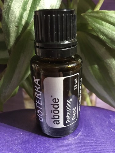 doTERRA Abode Refreshing Blend Essential Oil 15mL 2026/06 New & Sealed ...
