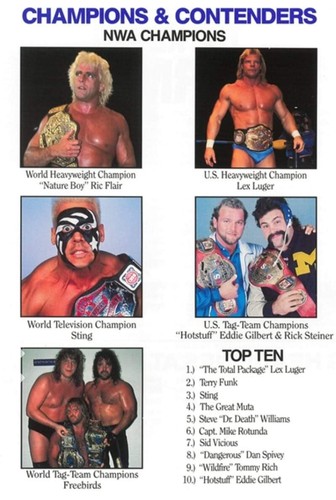 NWA Wrestling Best Of 1989 V1-10 DVD Flair Luger Sting Windham Dragon ...