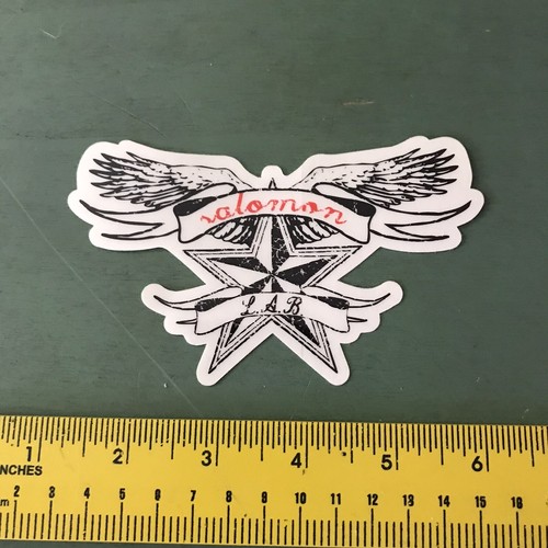 Salomon Ski Sticker | eBay