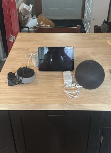 Amazon Alexa Echo Smart Home Bundle | eBay