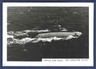 USS STERLET SS-392 Submarine Official US Navy Photo | eBay