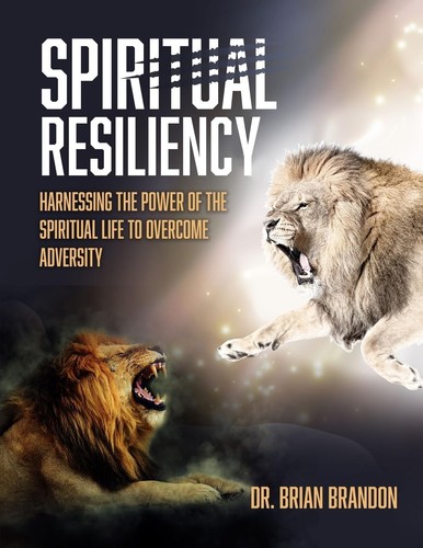 Spiritual Resiliency: Harnessing the Power of the Spiritual Life to ...