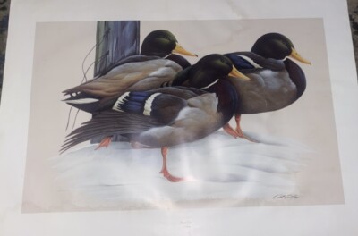 Art Lamay In Art Prints for sale | eBay