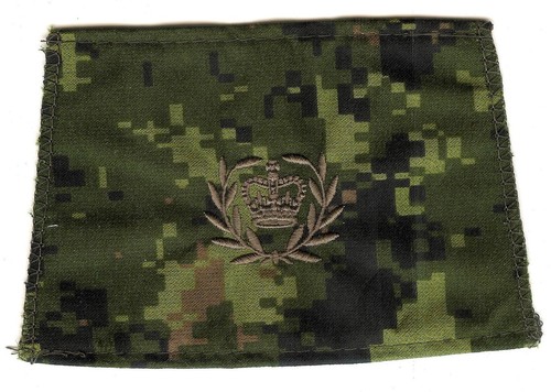 Obsolete Modern Canadian Army CADPAT Unfinished Master Warrant Officer ...