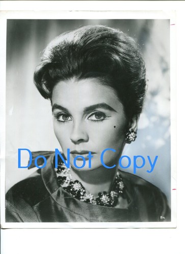 Jean Simmons Guy And Dolls Spartacus Star Trek TNG Sexy Press Glossy ...