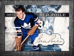 Royal-Hockey | eBay Stores