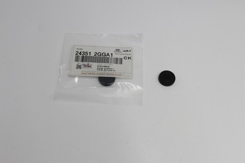 243512GGA1 Genuine Hyundai / KIA Plug for sale online | eBay