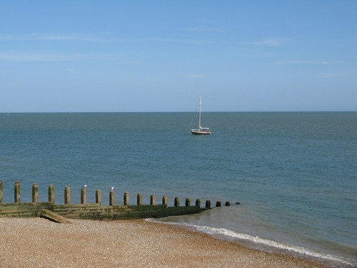 Photo A3 Gulls and groyne at Langney Point Roselands c2013 | eBay