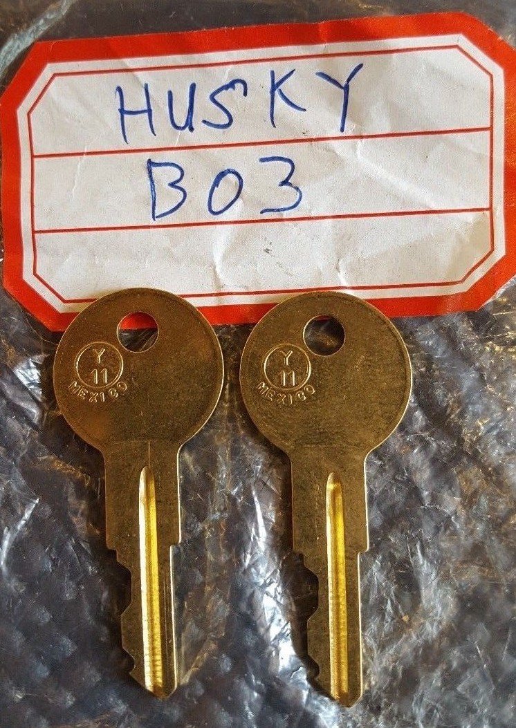 HMC17751 to HMC18000 2-NEW KEYS FOR Protex Gun Wall Safe Homak ...
