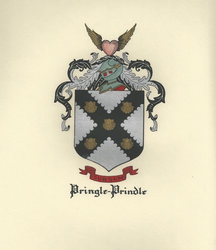 Great Coat of Arms Pringle-Prindle Crest genealogy, would look great ...