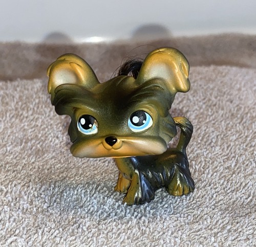 Littlest Pet Shop #141 LPS Authentic Yorkie Shihtzu Dog Blue Eyes Real ...
