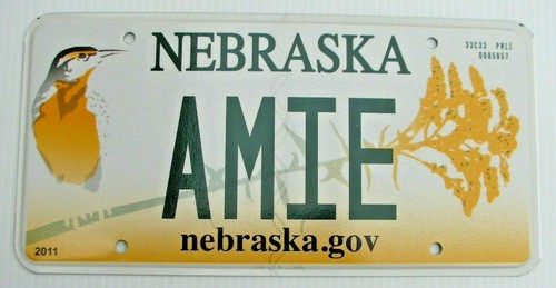 NEBRASKA GRAPHIC VANITY LICENSE PLATE " AMIE " AMY AMEE TAKE AIM AIMEE ...