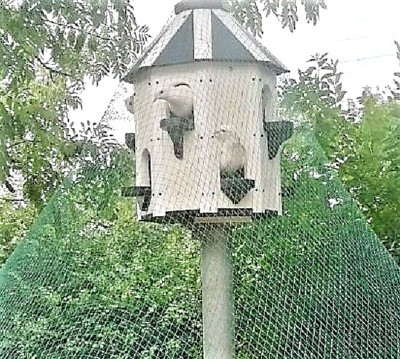 Doves Bird Houses for sale | eBay
