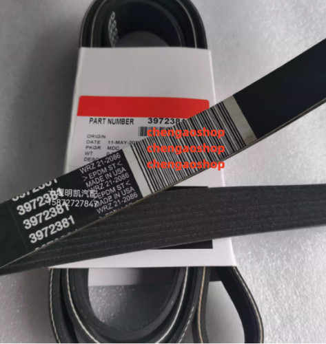 1PC NEW FOR Generator belt 3972381 #L8237Y LZ | eBay