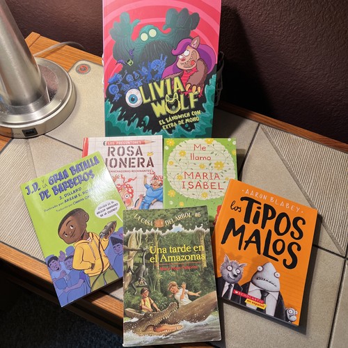 Lot Of 6 Children’s Chapter Books In Spanish - Libros para Niños En ...