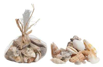 Bag Of Shells for sale | eBay
