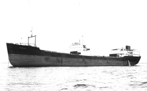 Redcar Ship of the Bolton Line Shipping Co OLD PHOTO | eBay Australia