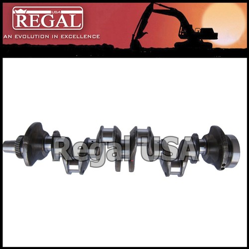 4N7693 Crankshaft for Caterpillar (3Y3973, 0R5020, 0R5019, 2P2842 ...