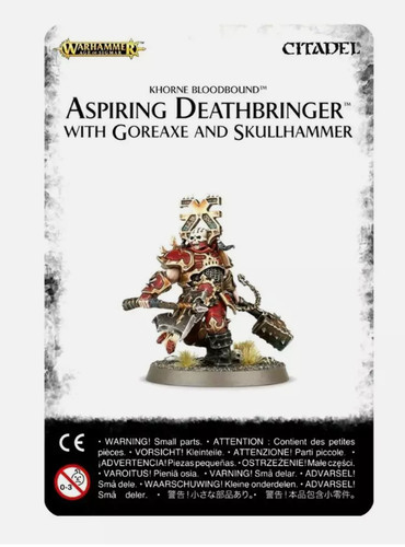 Aspiring Deathbringer with Goreaxe and Skullhammer Warhammer AoS Khorne ...