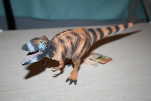 Animax | eBay Stores