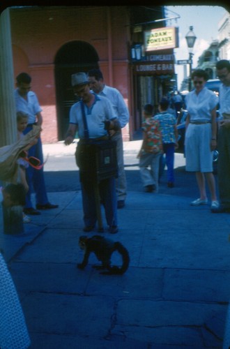 35mm slide man monkey street performer Adam Comeaux Bar New Orleans ...