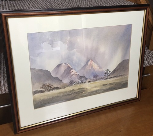 Renowned Artist - David Bellamy - Watercolour Painting - Mountain Views ...
