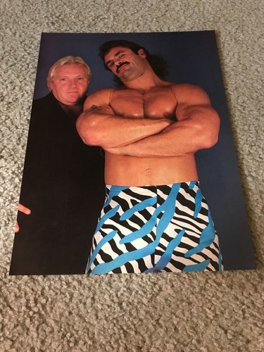 Vintage WWF RAVISHING RICK RUDE & BOBBY HEENAN BRAIN Wrestling Pinup ...