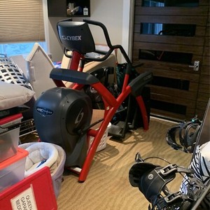 Cybex Arc Trainer for sale | eBay