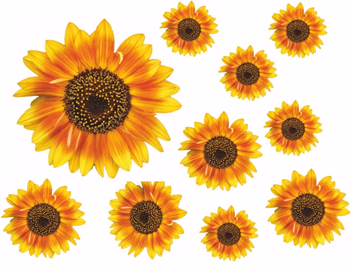 Sunflower Wall Border Decals